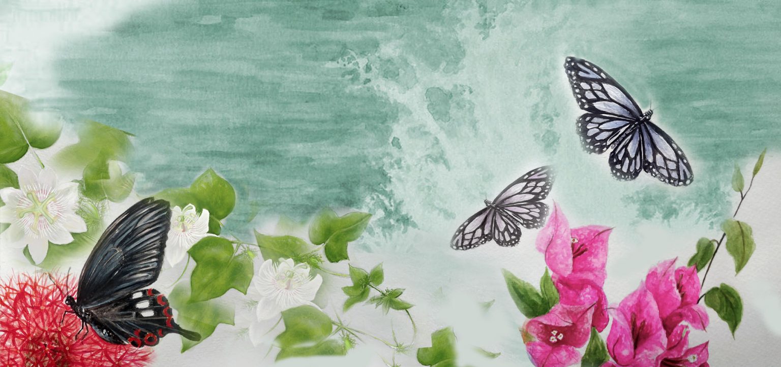 Debra Morris – fine art and illustration